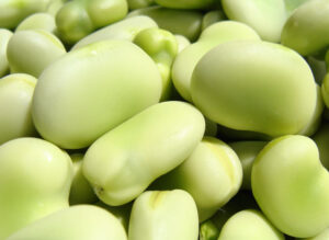 Fava Bean Substitute: 10 Best Alternatives {Easier to Find}
