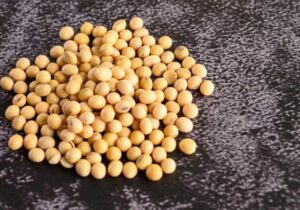 Fava Bean Substitute: 10 Best Alternatives {Easier to Find}