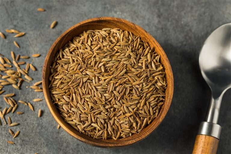 Substitute for Cumin